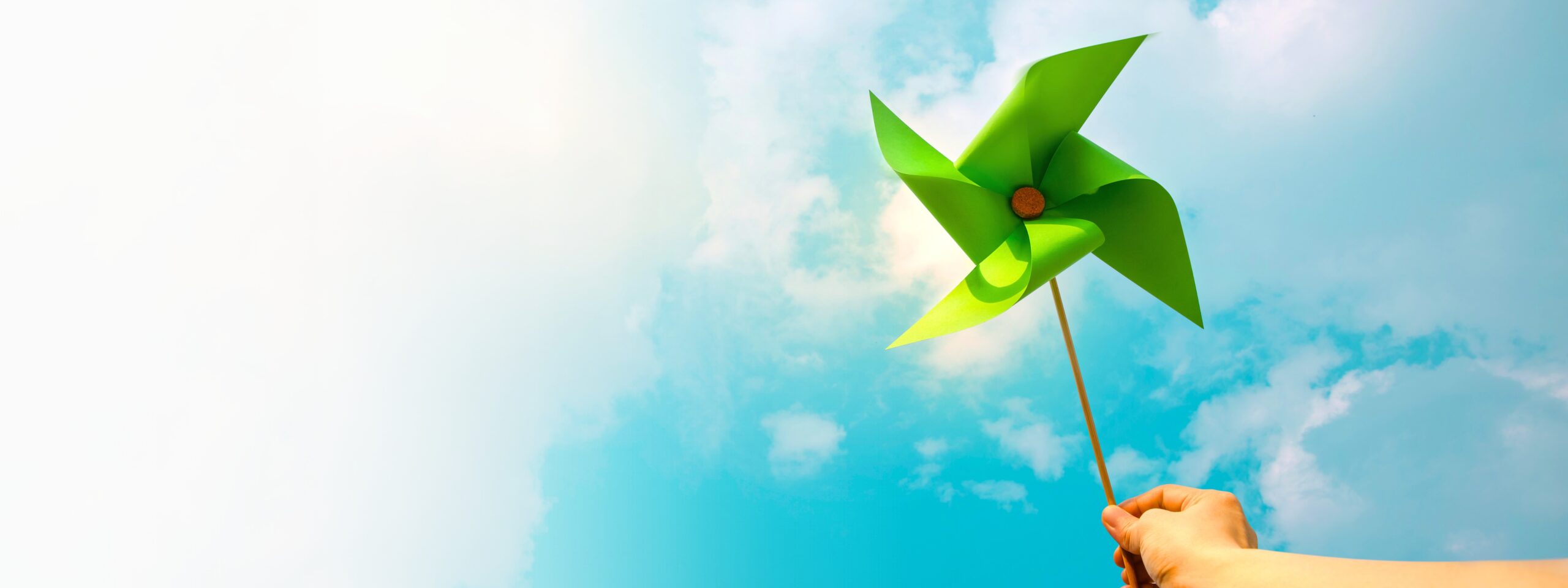 Environment Social Governance Services - AVA Insights - Agile ...
